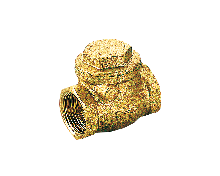 Válvula check de columpio – OttoDist